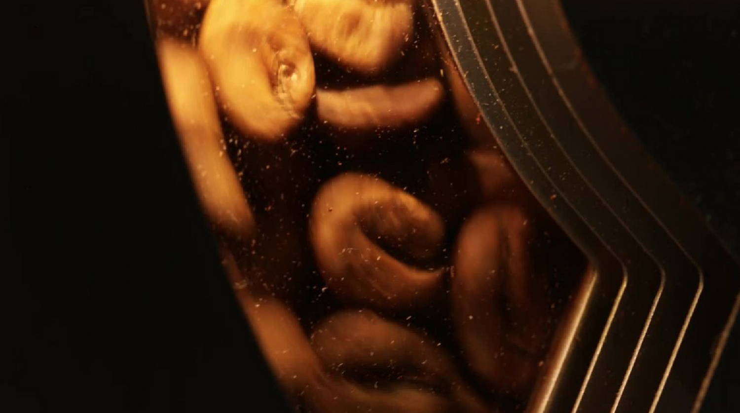 Buy Fresh Roasted Coffee Beans Online, Ruby Fire Coffee Beans – Morgans ...